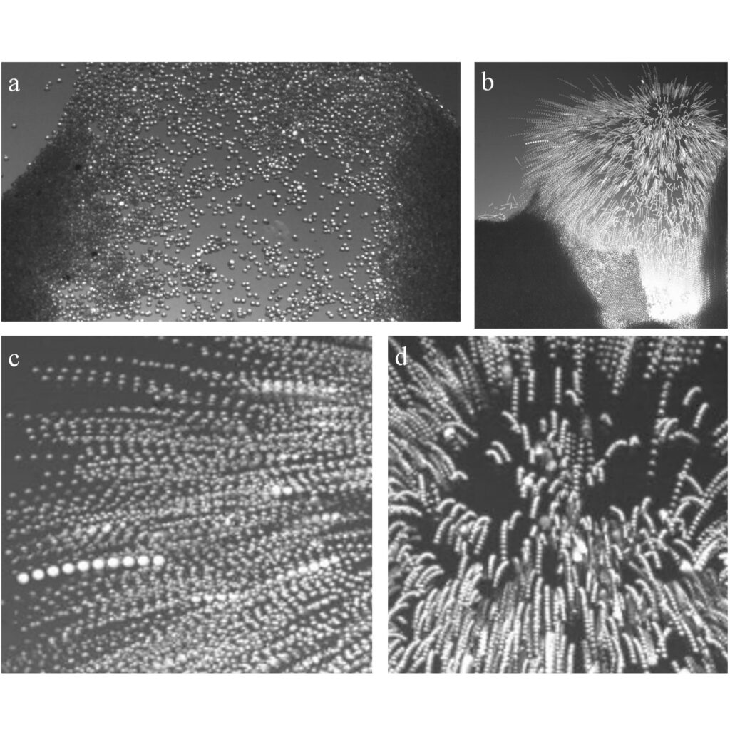 Advanced Measurement Techniques - NETL Multiphase Flow Science