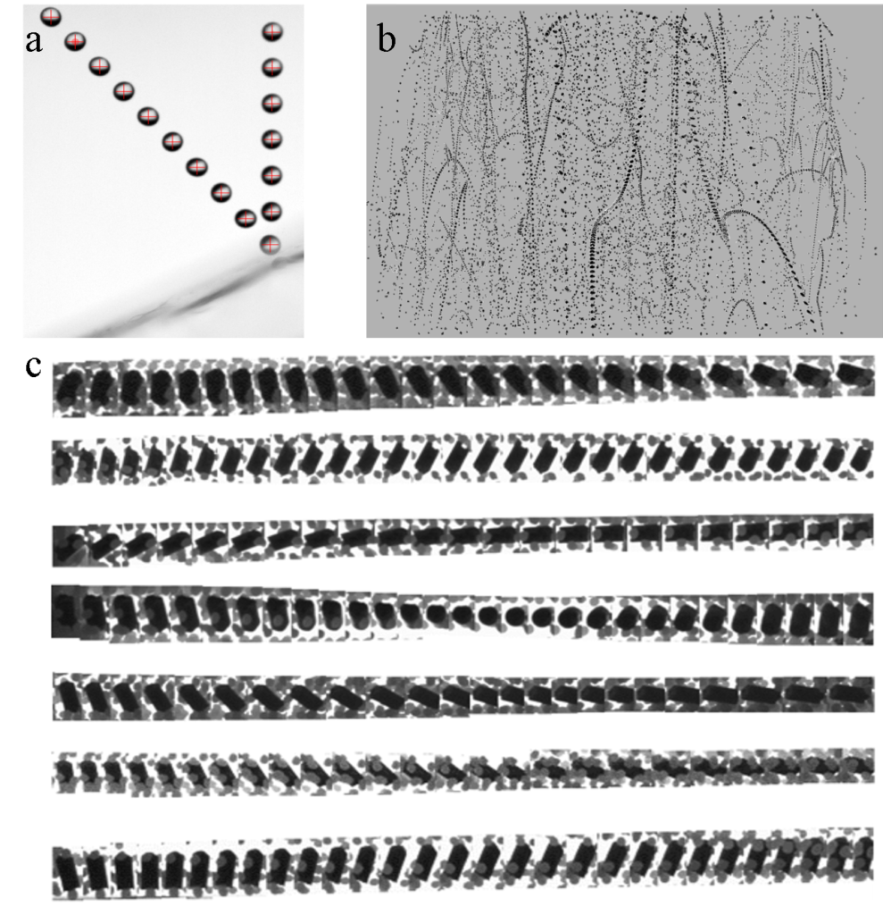 Advanced Measurement Techniques - NETL Multiphase Flow Science